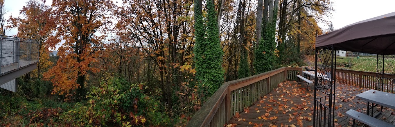 Key Recovery & Life Skills Center Rehab in Seattle, WA | Get Costs ...