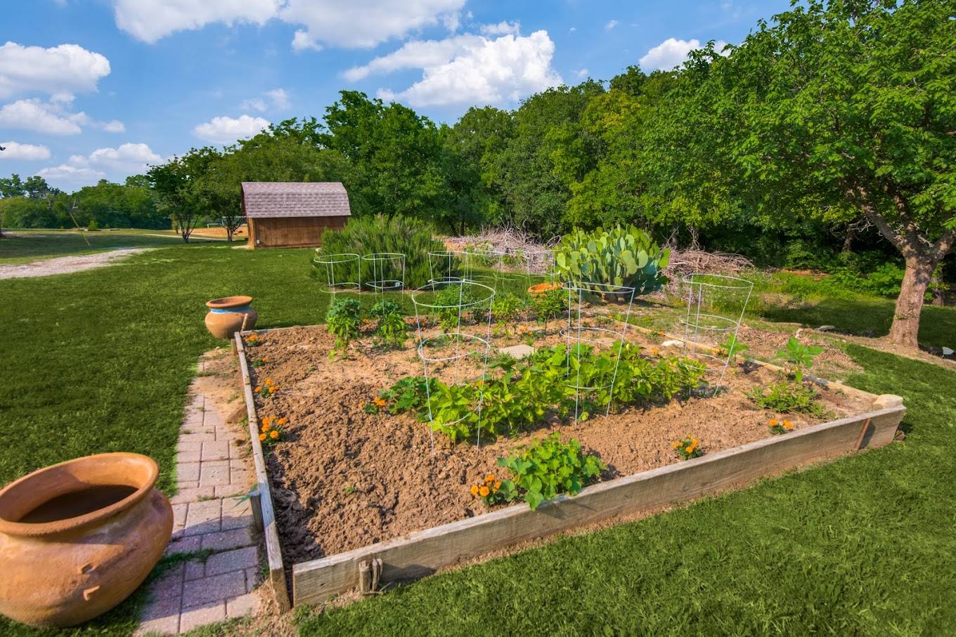 Sante Center for Healing - Argyle, TX | Rehab.com