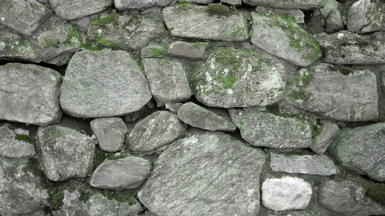 Gray Rock Method for Addiction Care